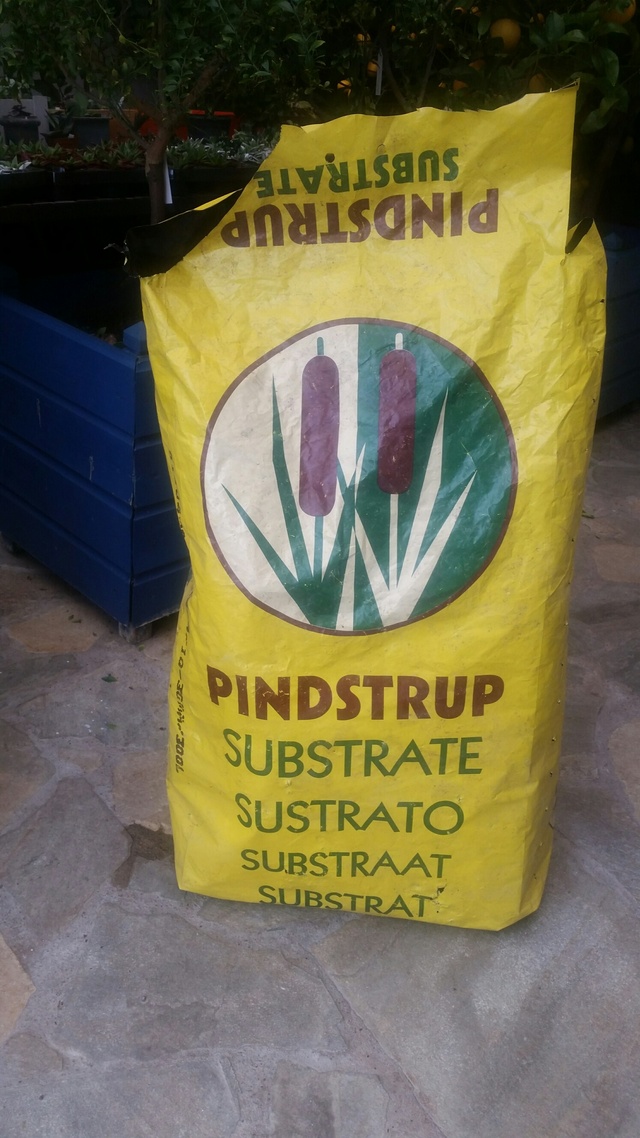 Substrat Pindstrup.