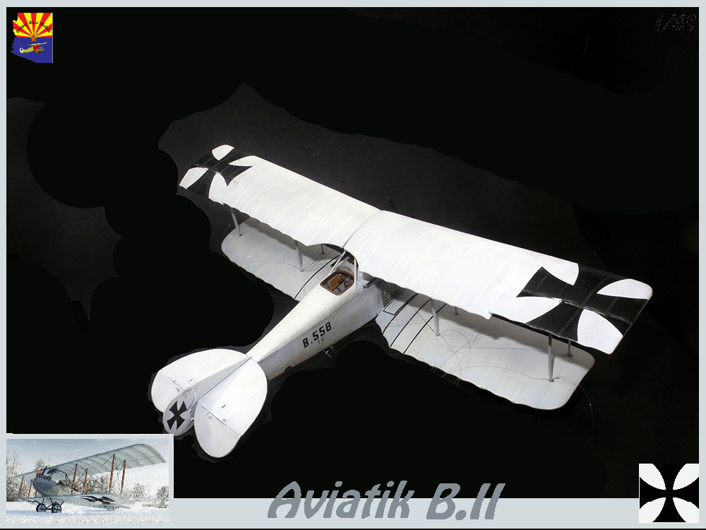 Aviatik C.1 Copper state models 1/48