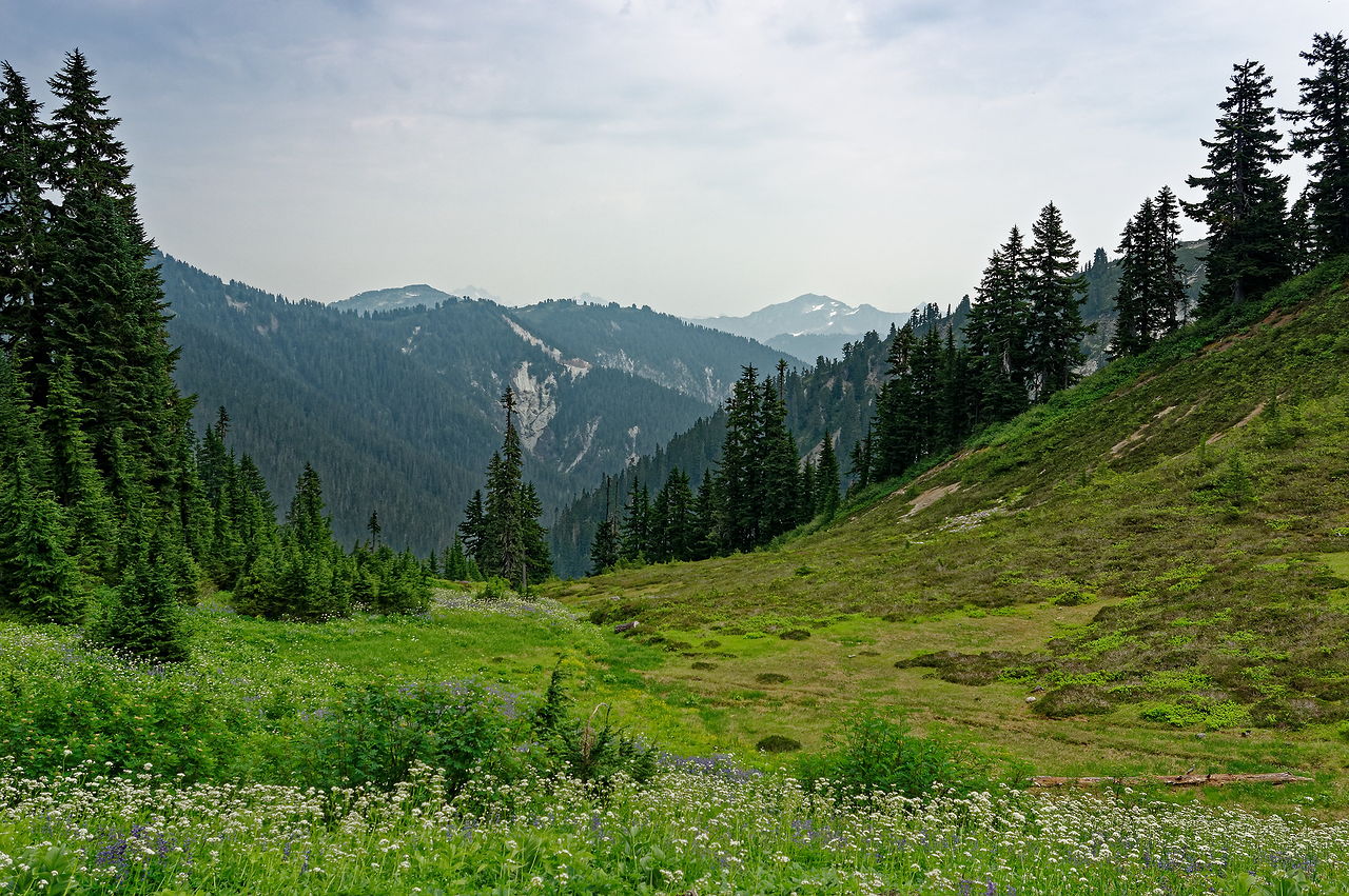 Washington State and Oregon