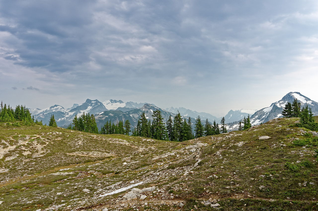 Washington State and Oregon