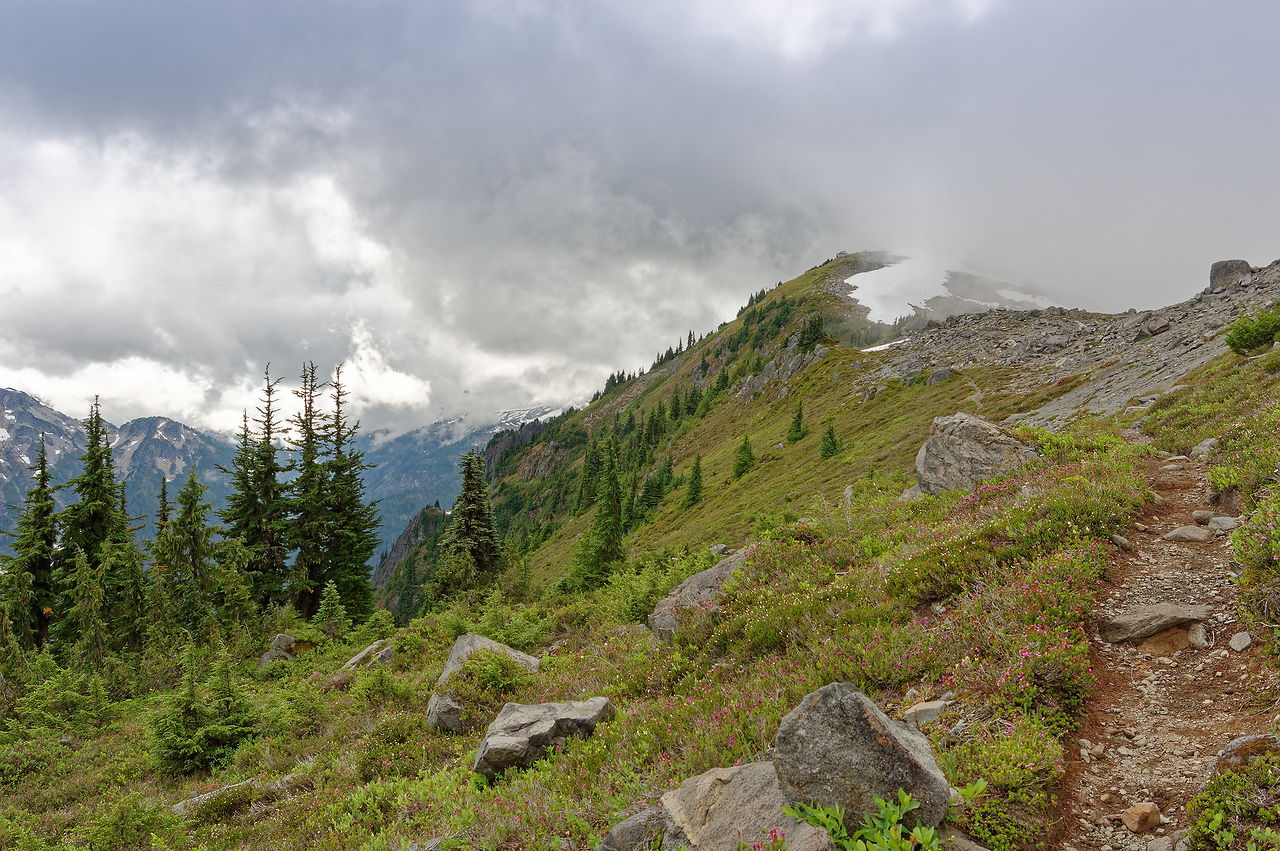 Washington State and Oregon