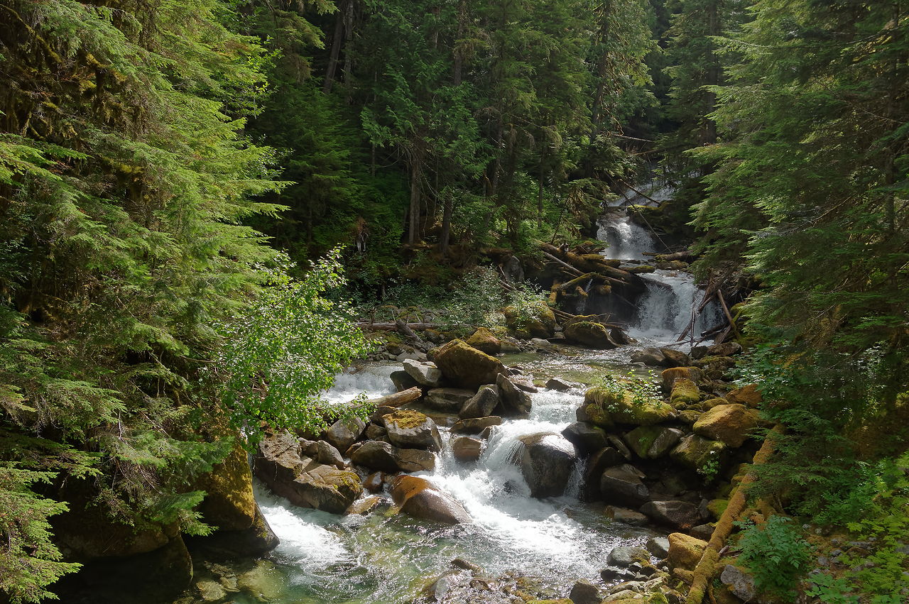 Washington State and Oregon