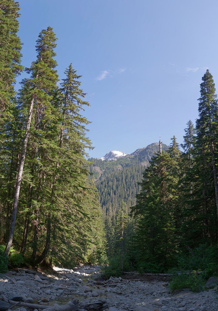 Washington State and Oregon