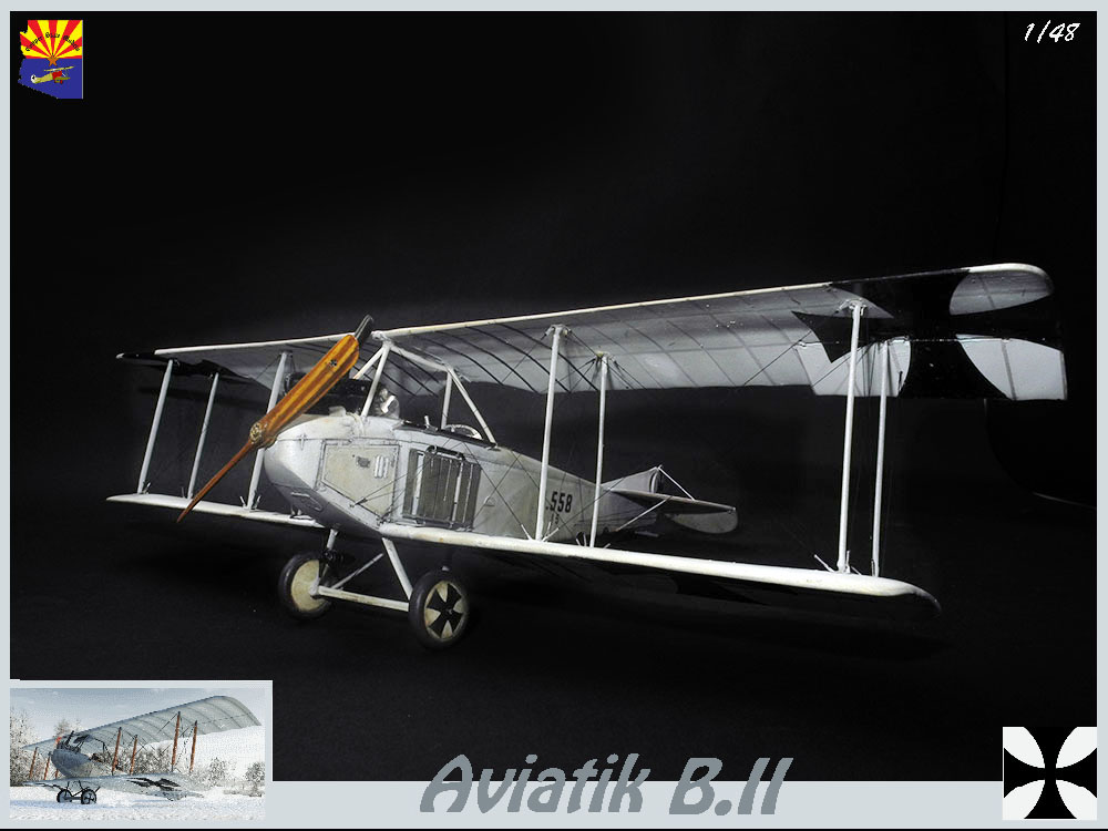 CSM Aviatik C1 1/48