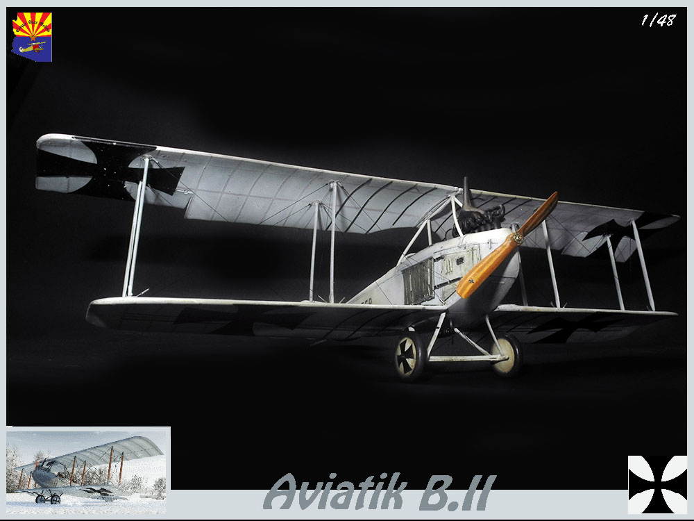 CSM Aviatik C1 1/48
