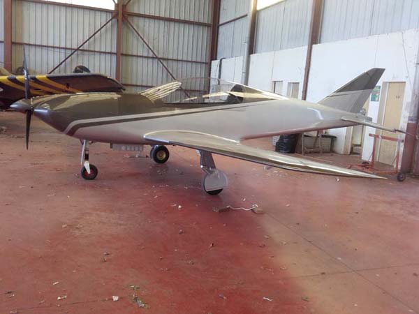 Vends ASSO X - VENDU - Le forum des ULM, et des ELA, LSA, VLA, et de ...