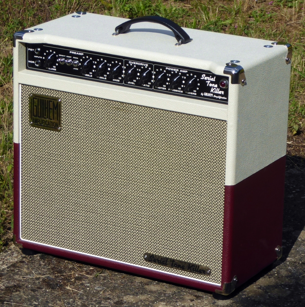 pix of Custom built guitar amps/cabs