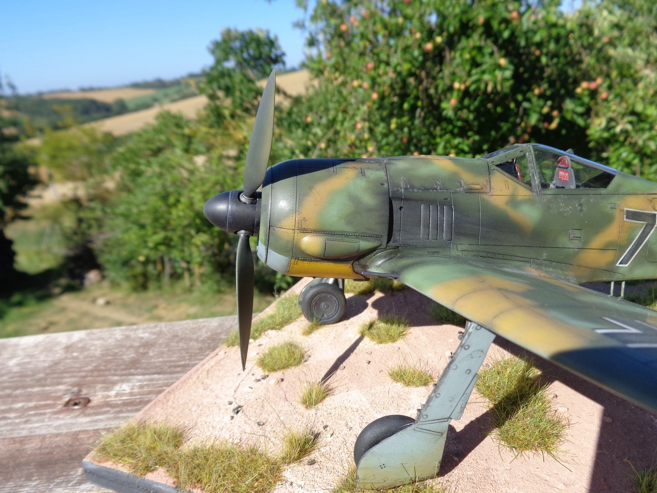 FW 190A - Emil Lang Russie 1943 - 5./JG 54 - Hasegawa - 1/32
