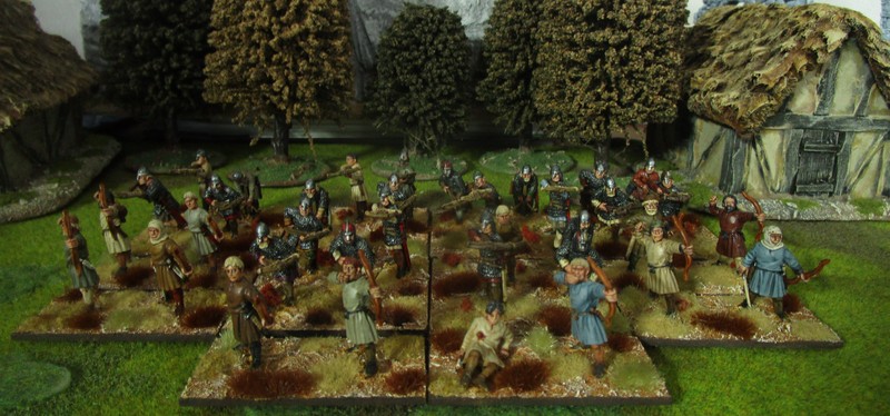 [28mm] Early Crusader's Army for Impetus Game | Lead Adventure Forum