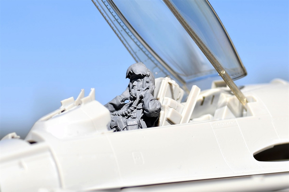 Reedoak third F-16 sitted pilot - Vendors Board - Large Scale Planes