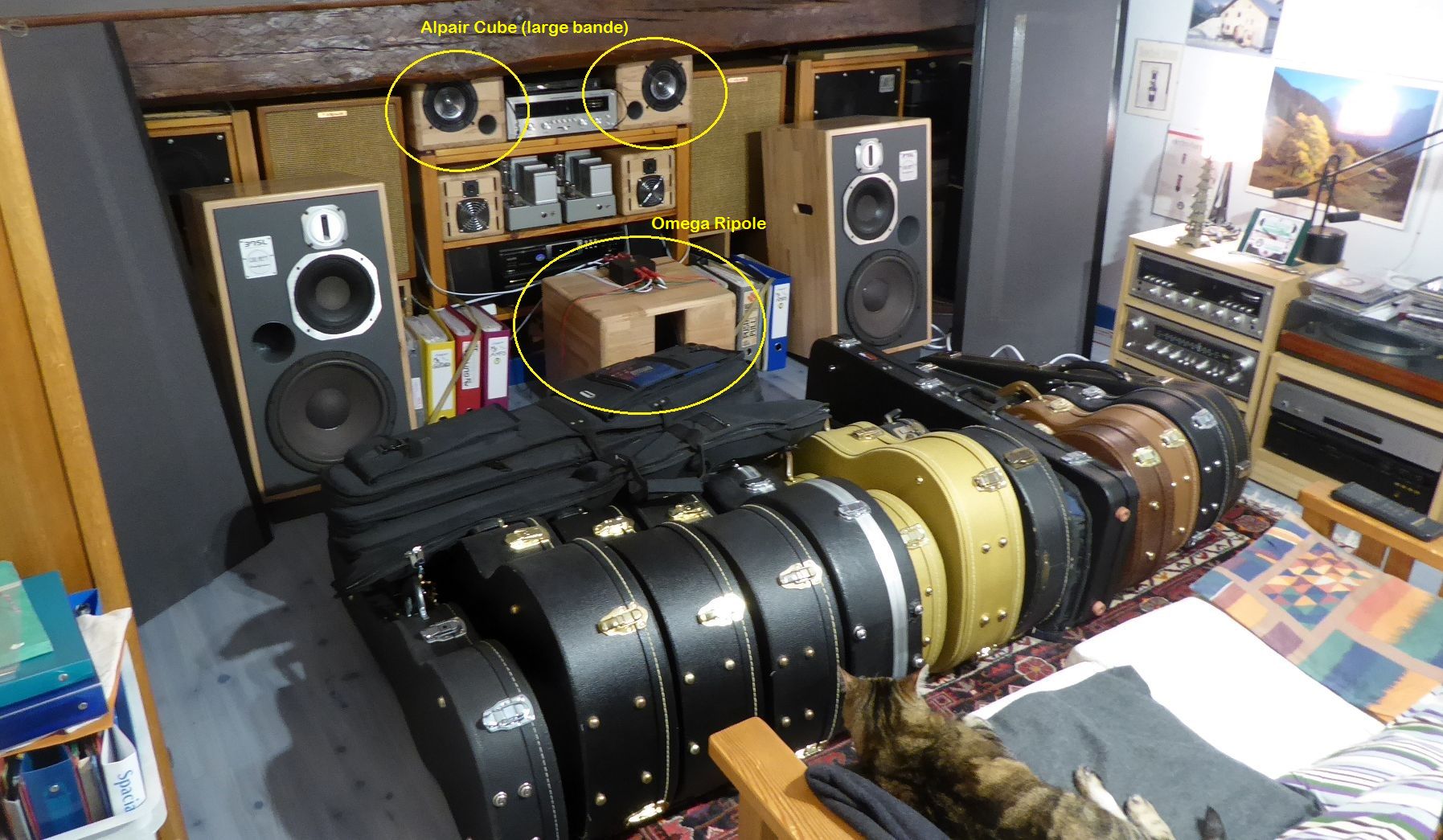 DIY Audio Projects Forum • Omega Ripole Sub