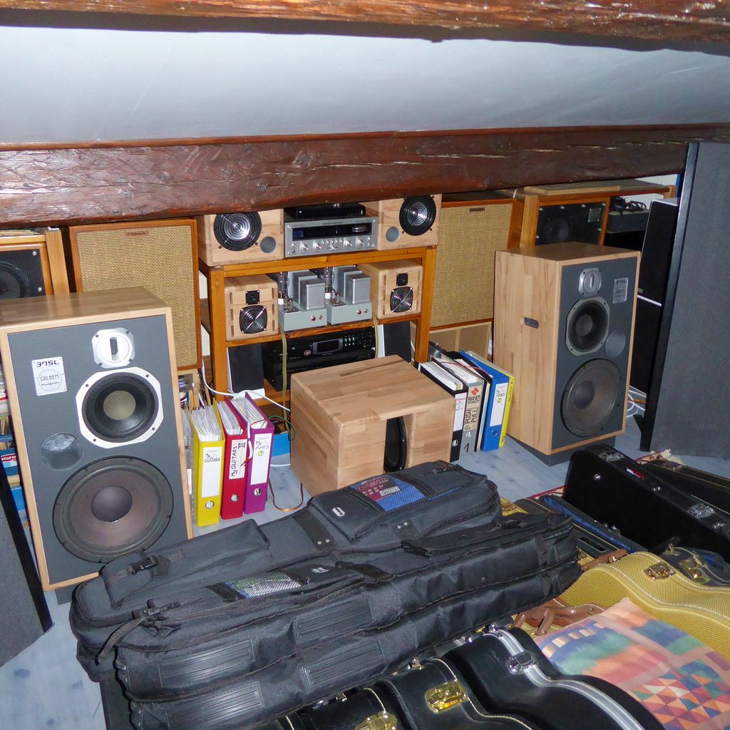 DIY Audio Projects Forum • Omega Ripole Sub