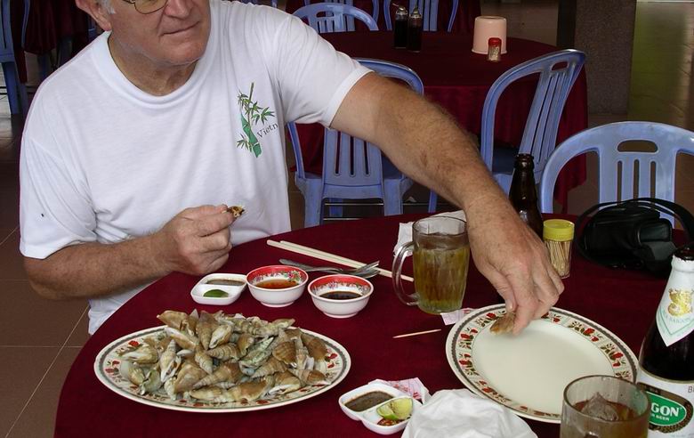 Doxander 0perosus (Röding, 1798) syn. Doxander vittatus apicatus - (Man ...