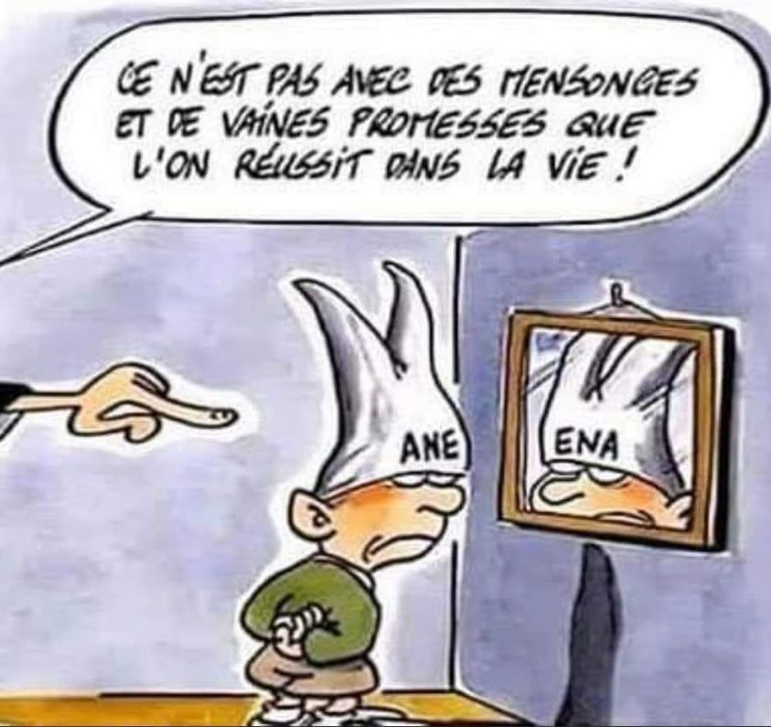 D4 Bordeaux - Page 2