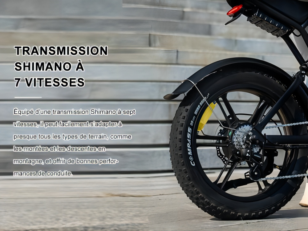 BK29 Vélo électrique - COLORWAY E-BIKE Tout Terrain de 20" avec Pneu 4. ...