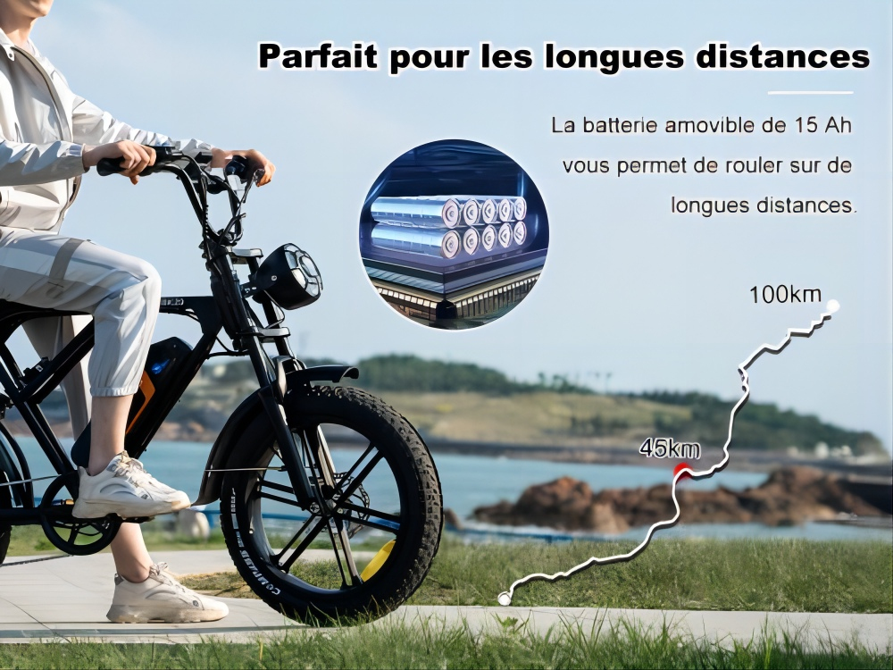 BK29 Vélo électrique - COLORWAY E-BIKE Tout Terrain de 20" avec Pneu 4. ...