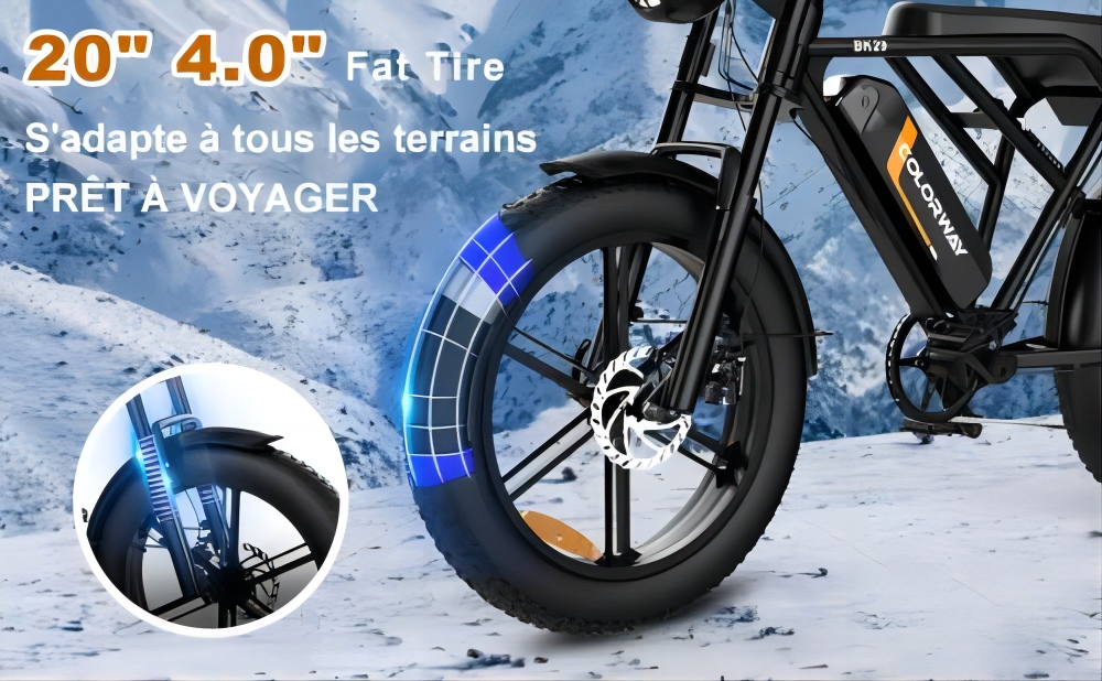 BK29 Vélo électrique - COLORWAY E-BIKE Tout Terrain de 20" avec Pneu 4. ...