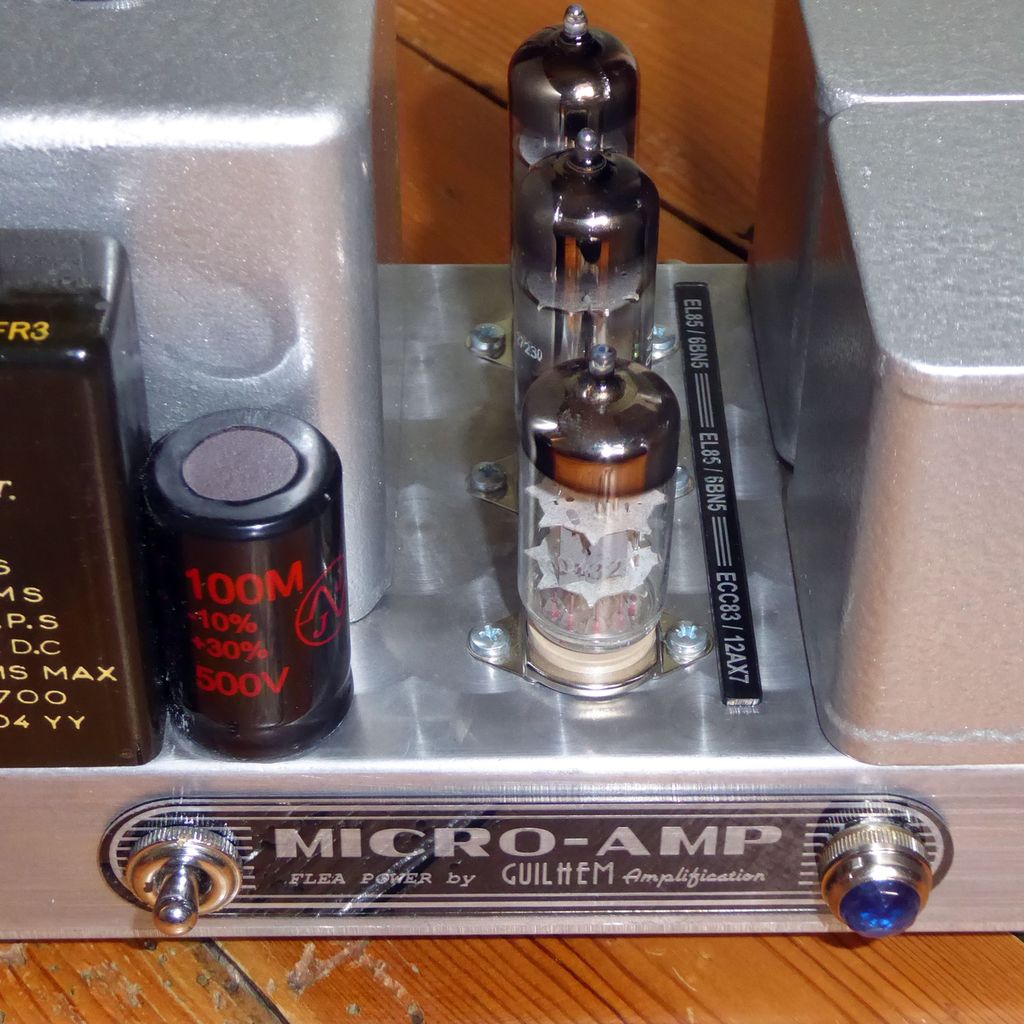 The SET thread (Show and tell your SET amps) | Page 20 | Steve Hoffman ...