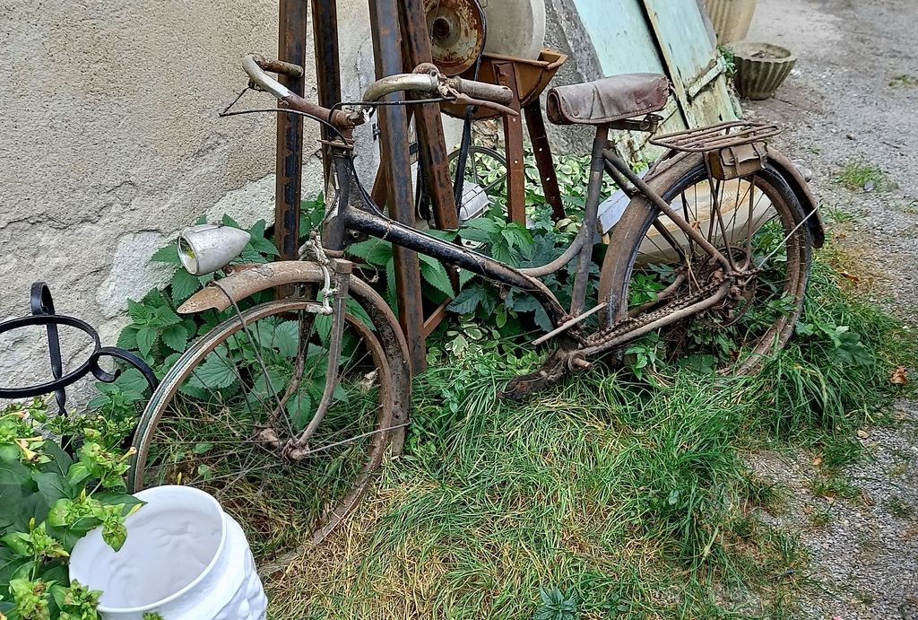 identification bma svp