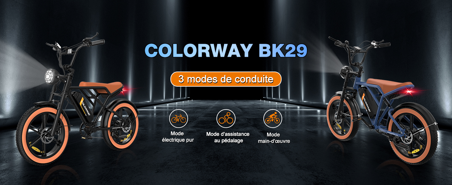 COLORWAY Vélo Électrique BK29, E-Bike Tout Terrein de 20" avec Pneu 4.0 ...