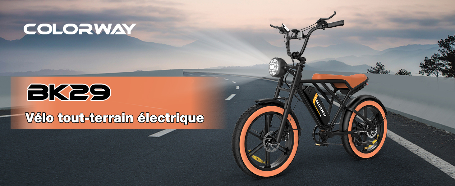 COLORWAY Vélo Électrique BK29, E-Bike Tout Terrein de 20" avec Pneu 4.0 ...