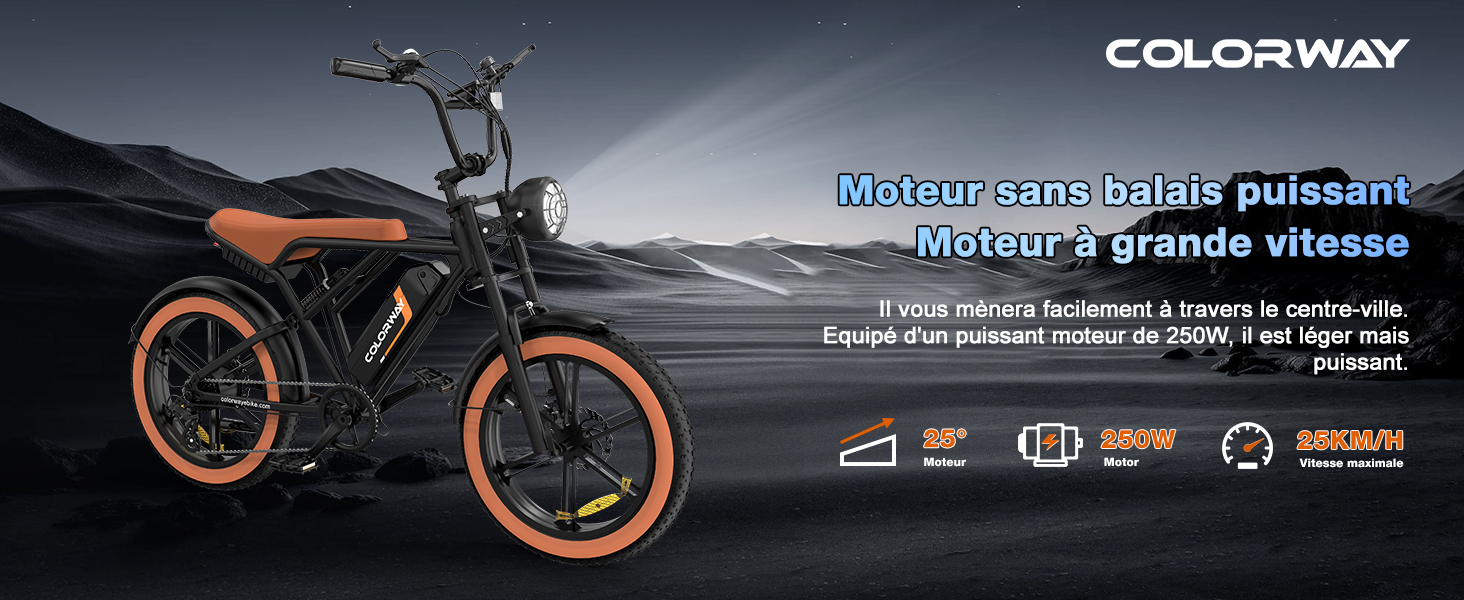 COLORWAY Vélo Électrique BK29, E-Bike Tout Terrein de 20" avec Pneu 4.0 ...