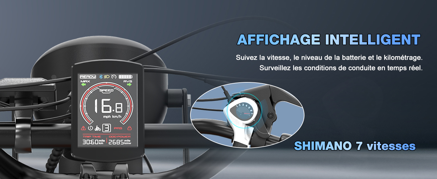 COLORWAY Vélo Électrique BK29, E-Bike Tout Terrein de 20" avec Pneu 4.0 ...