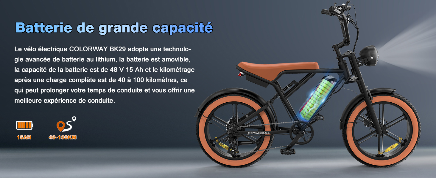 COLORWAY Vélo Électrique BK29, E-Bike Tout Terrein de 20" avec Pneu 4.0 ...