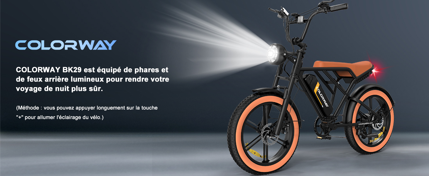 COLORWAY Vélo Électrique BK29, E-Bike Tout Terrein de 20" avec Pneu 4.0 ...