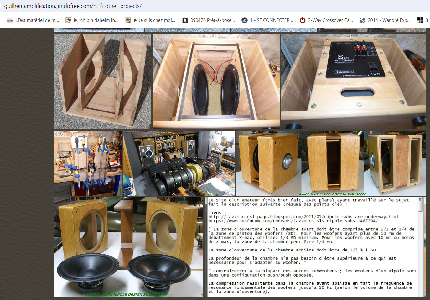 DIY Audio Projects Forum • Jazzman's RiPol Subs