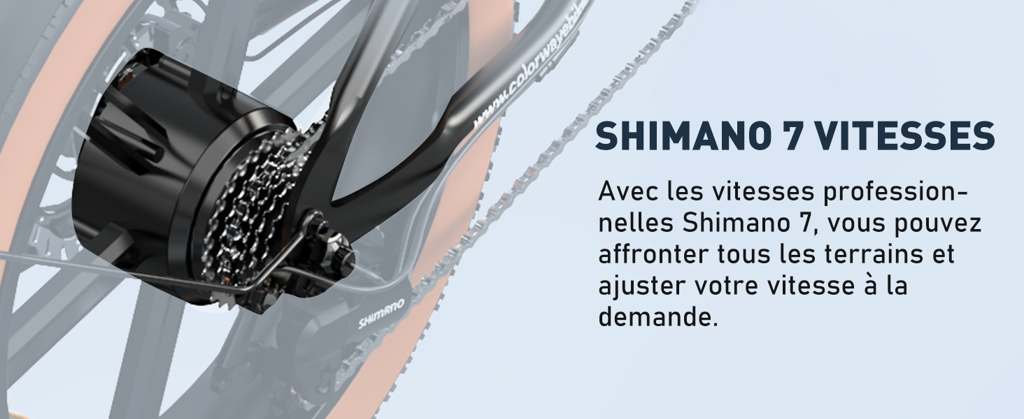 Vélo électrique Colorway Vélo Électrique - - BK29 - 20x4.0 - Batterie ...