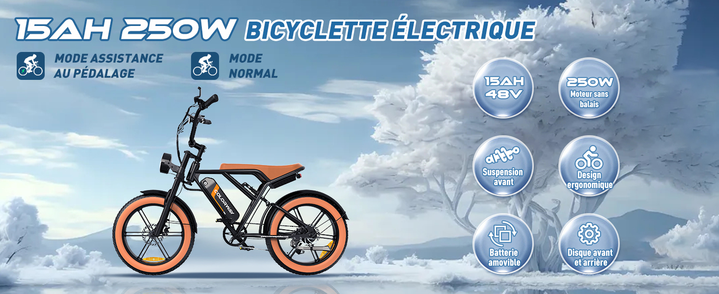 Vélo électrique Colorway Vélo Électrique - - BK29 - 20x4.0 - Batterie ...