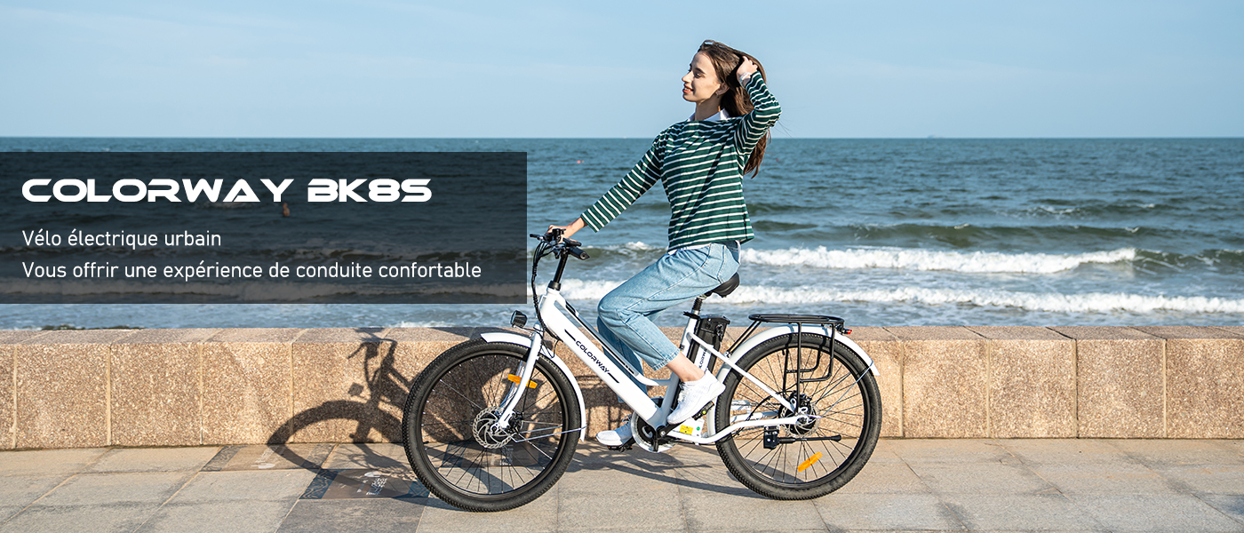 COLORWAY Vélo électrique 26 VAE Bleu, Moteur 250W,E-Bike avec Batterie ...