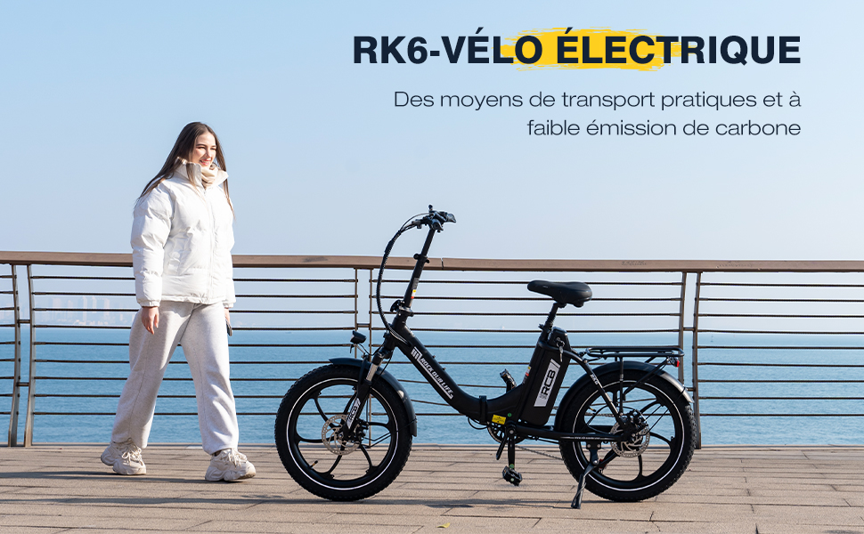 RCB Vélo Électrique-20 VTT Fat Bike Adulte Pliable-Batterie 36V/15.6Ah ...