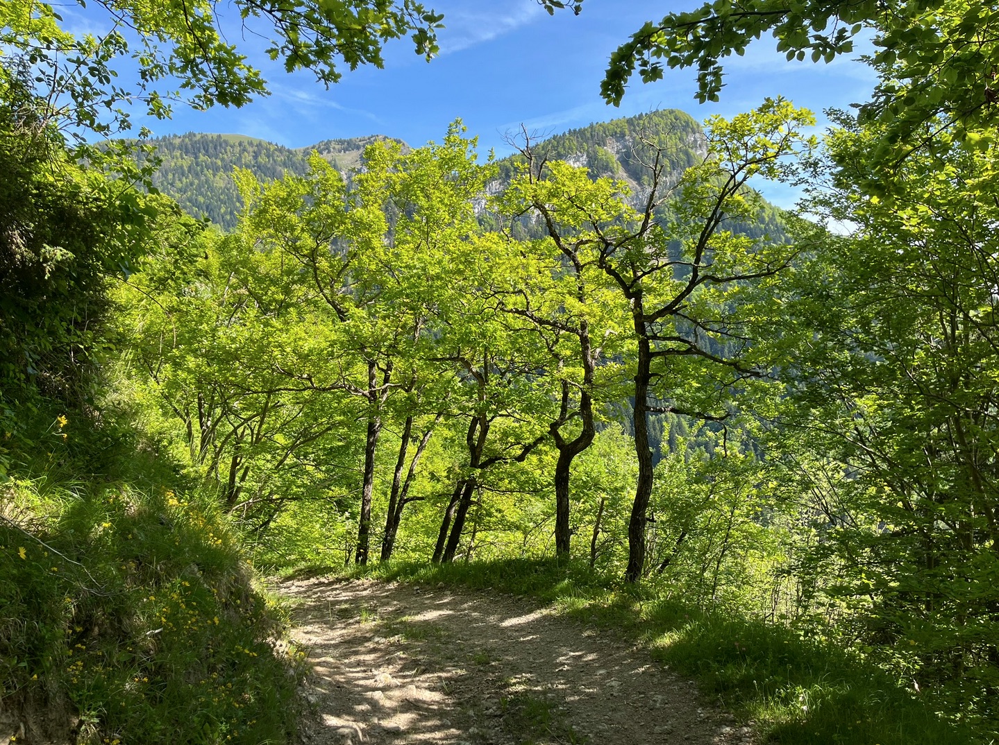 Today's Ride | Page 654 | Retrobike