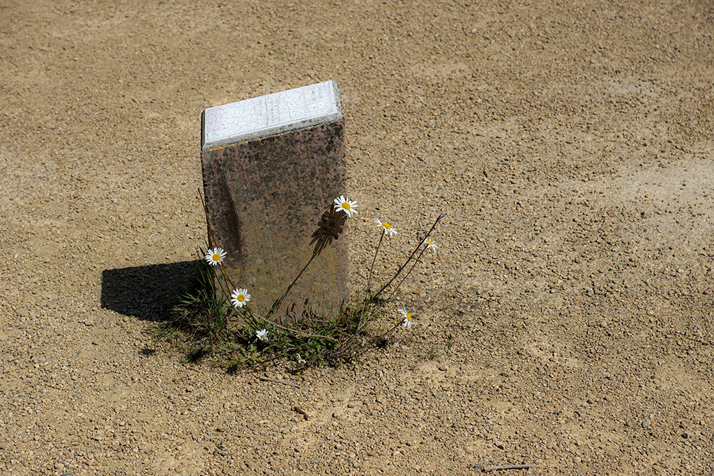 Mercredi 25 Juin 2025